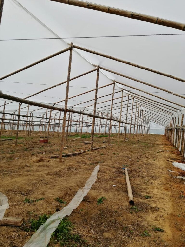 Construcción de invernaderos en Colombia - 322 6123812